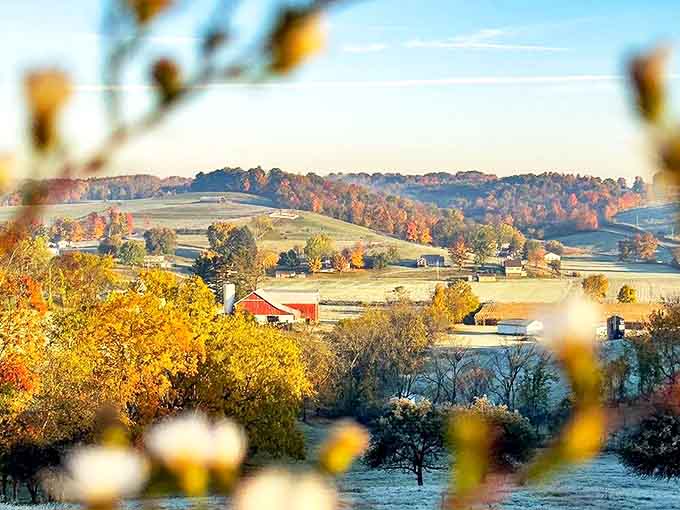 Autumn in Amish Country isn't just pretty – it's downright showing off, with colors so vivid they make your smartphone camera wave the white flag.