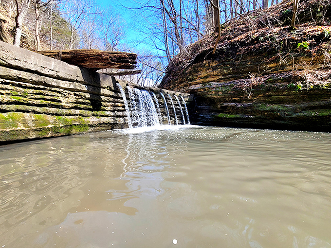 The gentle river carves its patient path through tree-lined banks, a reminder of water's quiet but persistent power.