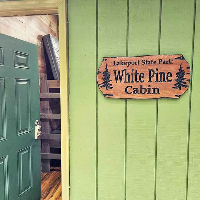 The White Pine Cabin offers rustic charm with just enough comfort, proving you don't need luxury to have an extraordinary Lakeport experience.