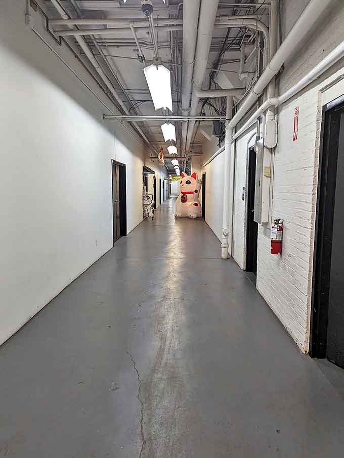 The journey to good fortune begins down this unassuming hallway &ndash; follow the path to find a treasure trove of waving cats.