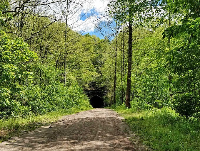 The forest path leading to the tunnel builds anticipation, with each step bringing visitors closer to the past.