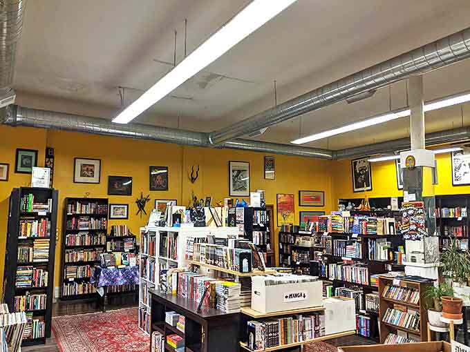The store's thoughtful layout creates natural pathways of discovery, where books and records complement each other in perfect harmony.