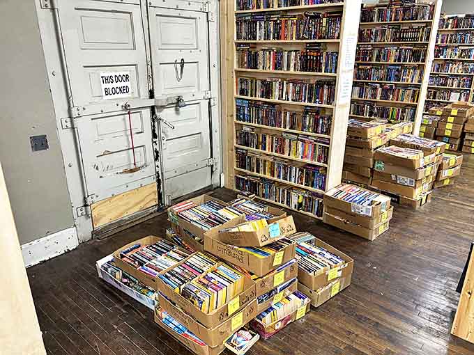 Cardboard boxes filled with literary treasures await sorting, like unopened presents for the next lucky browser to discover.