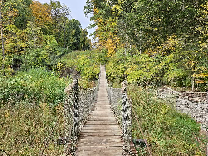 The suspension bridge stretches across the ravine, swaying slightly with each step like nature's own amusement park ride.