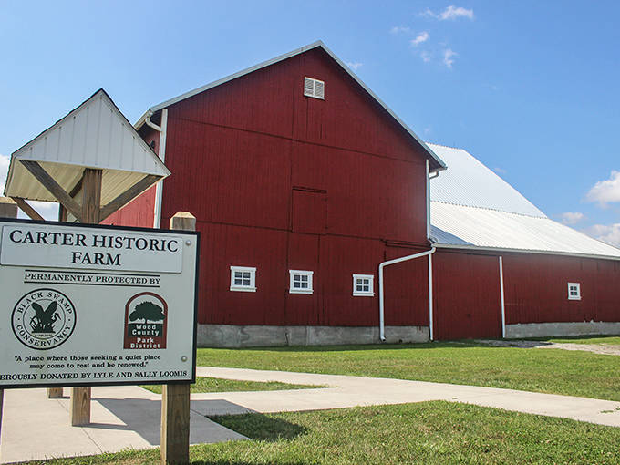 The Carter Historic Farm's magnificent red barn stands as a monument to agricultural heritage, its classic silhouette instantly recognizable against the Ohio sky.