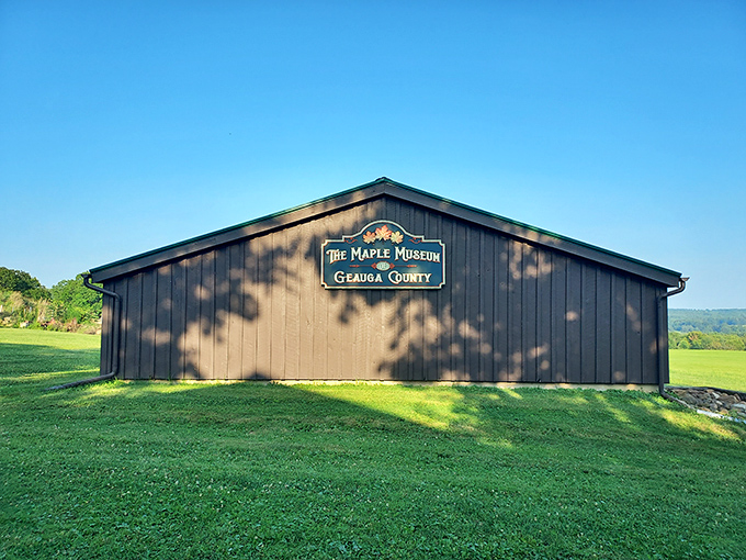 The Maple Museum's simple exterior belies the sweet treasures within, where Ohio's syrup-making legacy comes deliciously to life.
