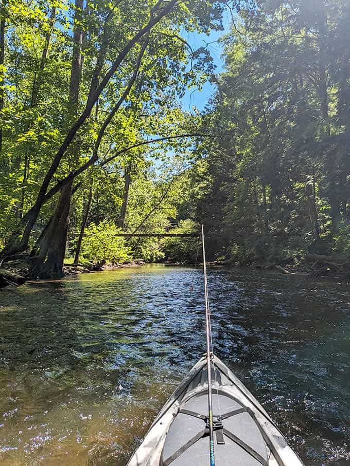 Paddling the Clear Fork River offers the park's greatest hits album from a perspective that hikers can only dream about.