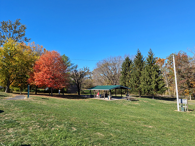 This inviting pavilion stands ready for picnickers, offering shelter and the perfect basecamp for waterfall adventures.