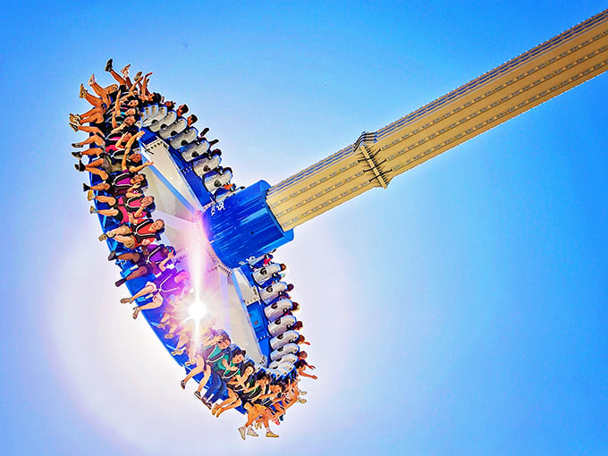 The universal expression of "we survived" mixed with "should we go again?" captured in one perfect moment of airborne joy.