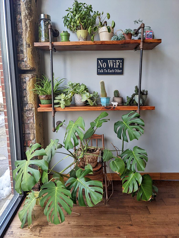 The "No WiFi" sign among lush plants gently suggests reconnecting with humans instead of devices &ndash; revolutionary concept, delicious results.