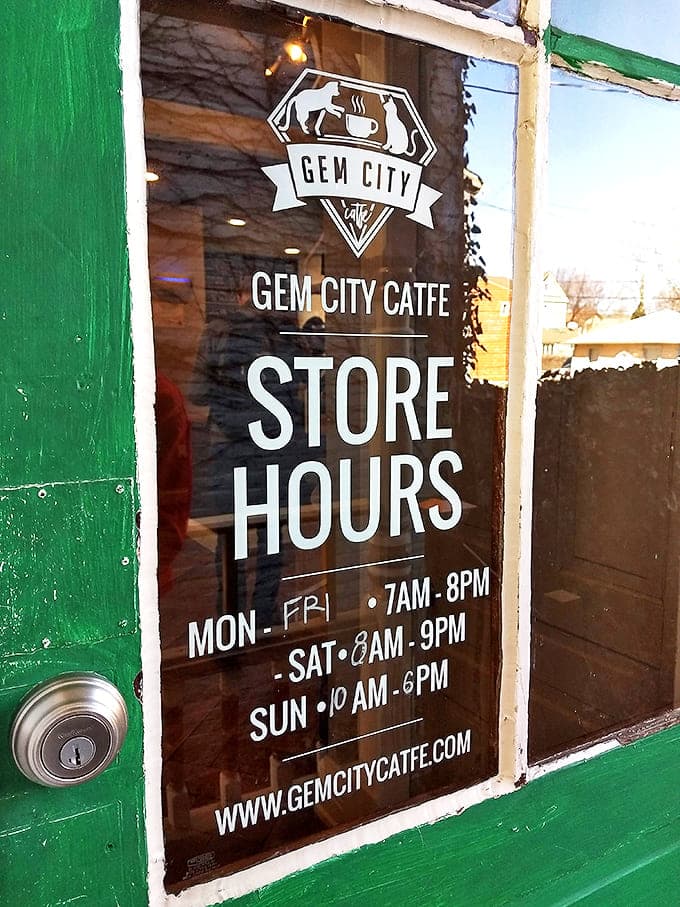 The welcoming green door displays operating hours that accommodate both early risers and those seeking afternoon feline therapy sessions.