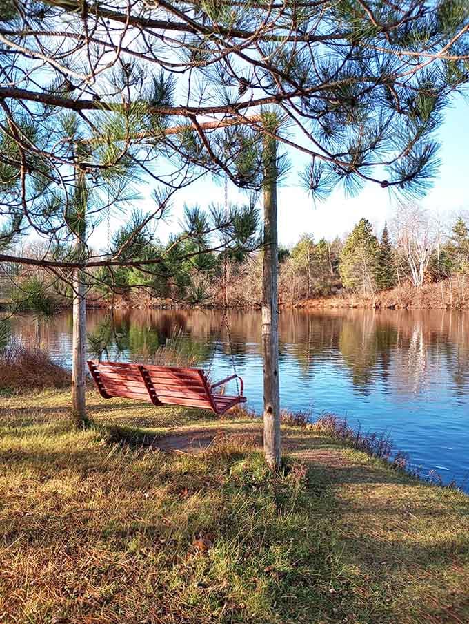 A lakeside swing invites contemplation as gentle waters reflect pine sentinels, offering a moment of perfect tranquility in nature's embrace.