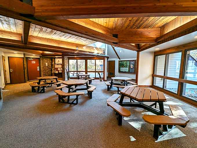 The trail center's interior offers a warm, wood-scented haven where hikers gather to share tales of wildlife sightings and trail discoveries.