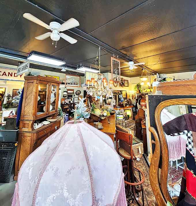 The shop's layered displays create magical vignettes where chandeliers illuminate collections of furniture, artwork, and accessories spanning multiple decades and styles.