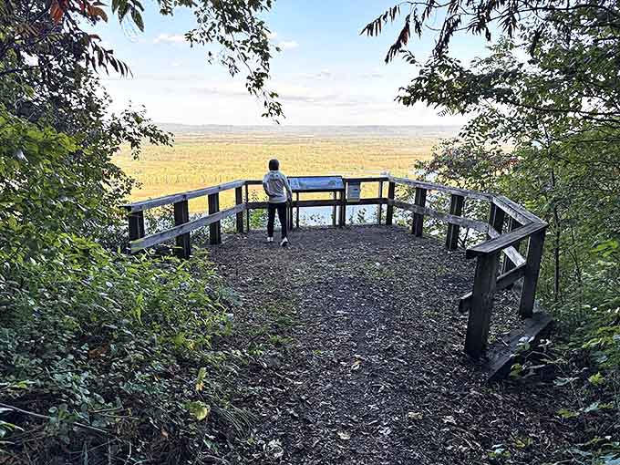 The viewing platform frames the Mississippi Valley like a living postcard, making you wonder why anyone would ever choose shopping over this.