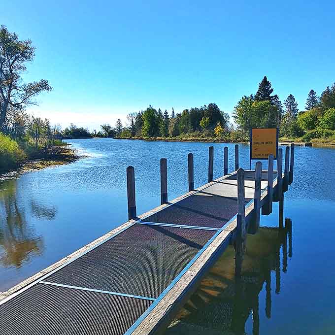 This unassuming dock invites contemplation, fishing attempts, and that inevitable "should I jump in?" internal debate.