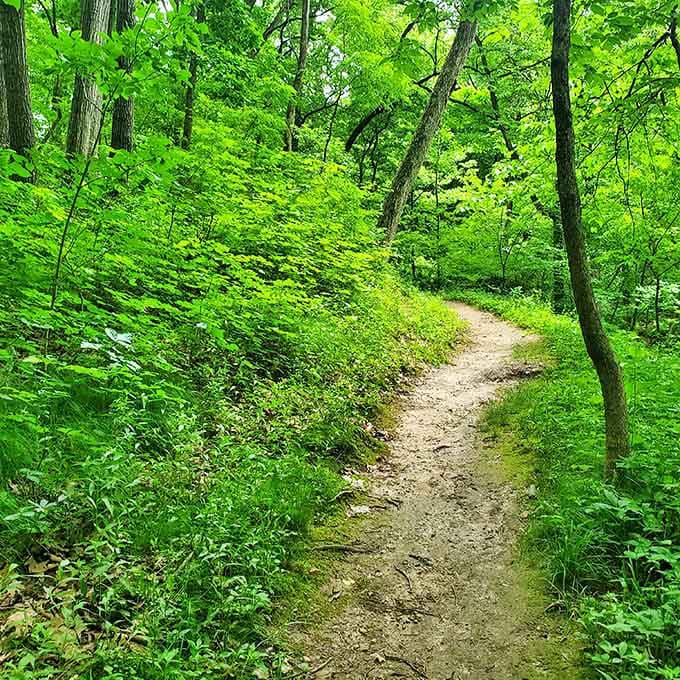 This unassuming dirt path has guided more soul-searching journeys and meaningful conversations than most therapists' offices.