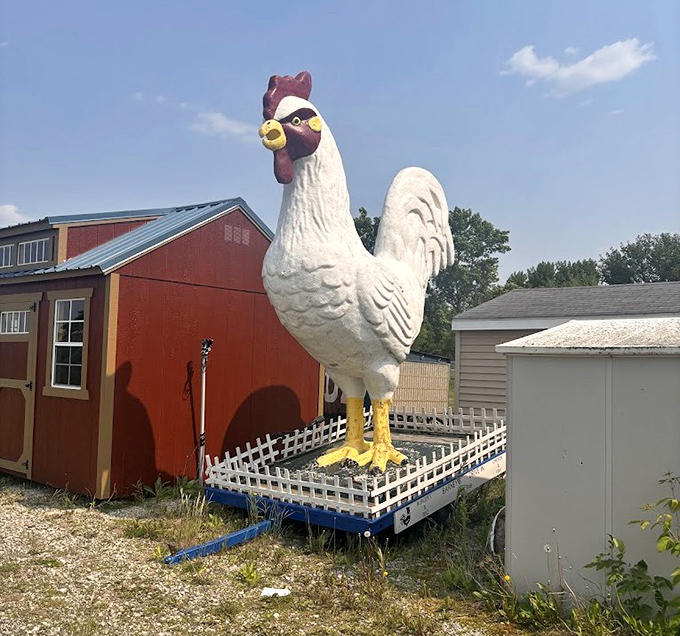 The giant rooster statue stands guard nearby, a whimsical landmark that's become part of Waseca's quirky roadside charm.