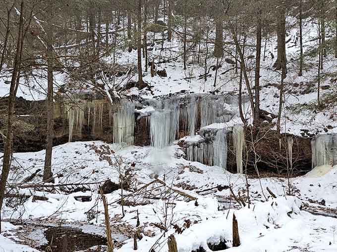 Winter's icy grip transforms cascading water into frozen sculptures, creating ephemeral art installations that vanish with the season's first warm day.