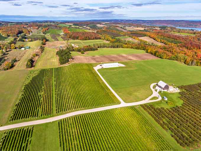 From above, Maggie Daley Park reveals itself as a masterpiece of urban planning, where green space and play areas embrace the city.