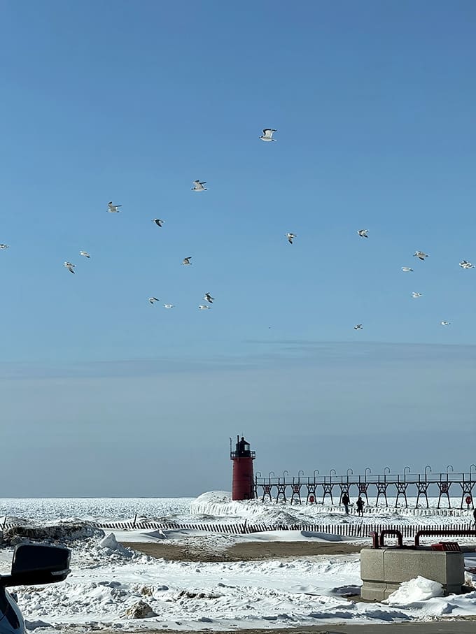 Winter turns Big Red into a frozen fortress, with ice formations creating a spectacular scene that brave photographers venture out in frigid temperatures to capture.