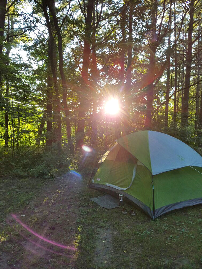 As the sun filters through the trees, this campsite becomes prime real estate &ndash; no penthouse view could possibly compare to this natural light show.