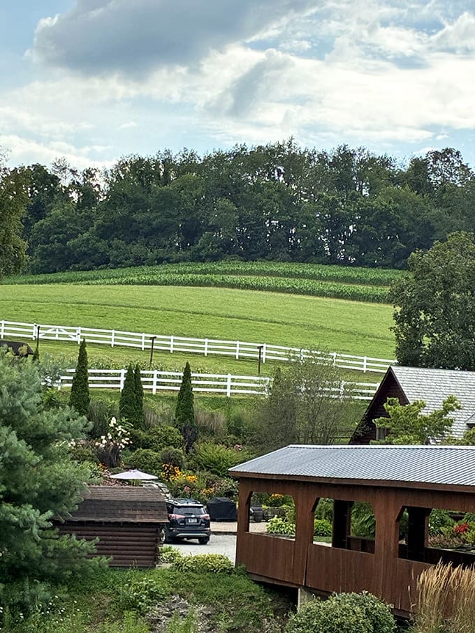 Rolling hills and white fences creating landscapes so perfect they look like your computer's default wallpaper come to life.