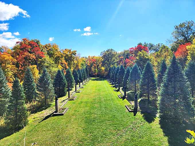 The Fu Dog Garden creates a dramatic green corridor flanked by trees, their autumn colors providing a spectacular backdrop for contemplative strolls.