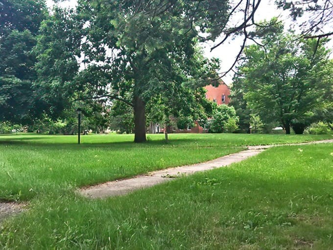 The Frances Wood Shimer Arboretum Trail invites you to learn while you walk, nature's classroom without any homework.