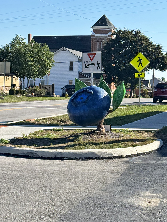 Bellbrook's giant blueberry sculpture stands as a whimsical landmark guiding hungry travelers to breakfast nirvana nearby.