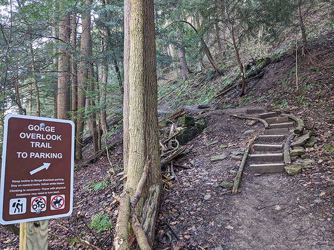 Journey's end or beginning? The Gorge Overlook parking area welcomes nature enthusiasts to the trailhead, promising adventures that no shopping mall could ever provide.