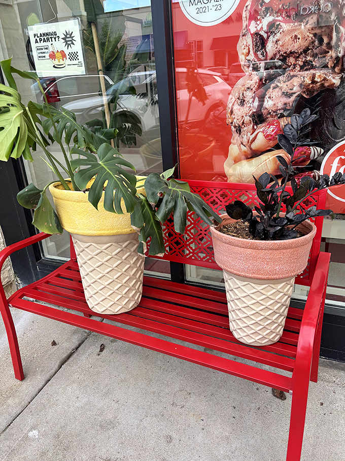 Even the plants live in ice cream cones here. It's not just commitment to a theme &ndash; it's a lifestyle choice that says "dessert is always appropriate."