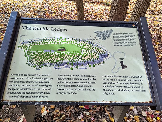 Informational Sign: Earth's autobiography in brief &ndash; how swampy sediments from prehistoric times became the magnificent rock formations we explore today.