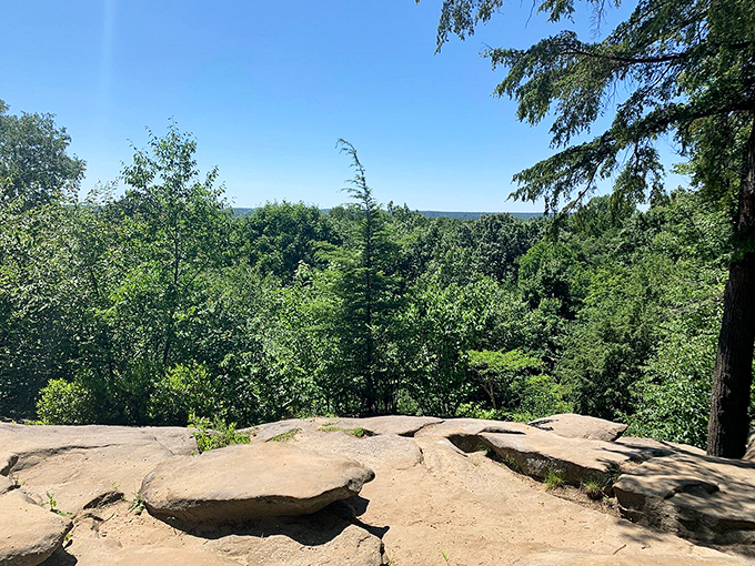 Ledges Overlook rewards hikers with sweeping vistas that remind us how small we are and how vast our backyard can be.