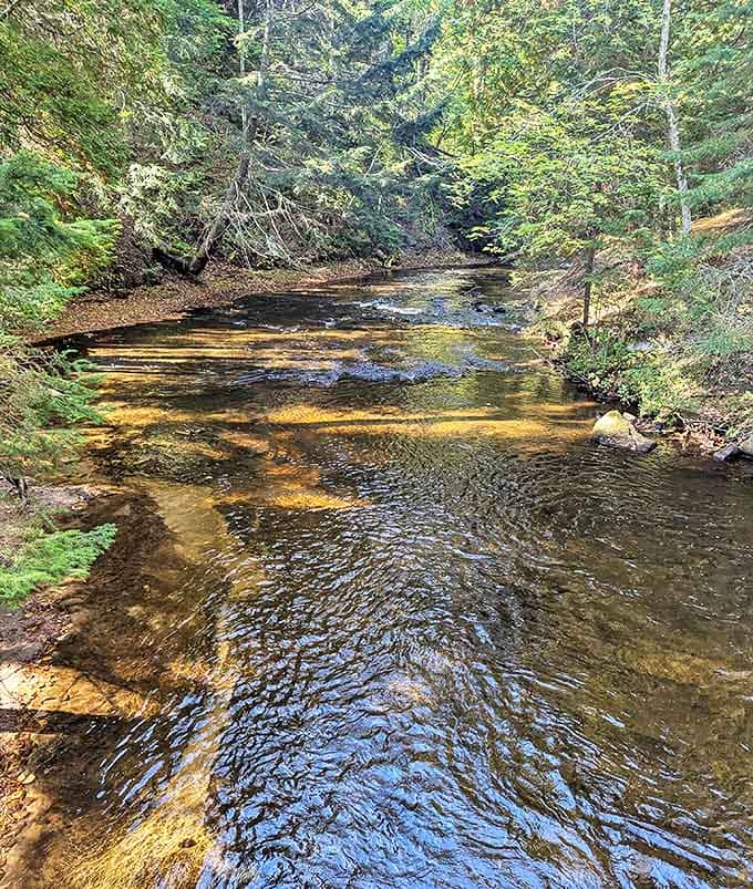 A gentle stream carves its patient path through the forest &ndash; nature's original meditation app, running continuously for thousands of years.