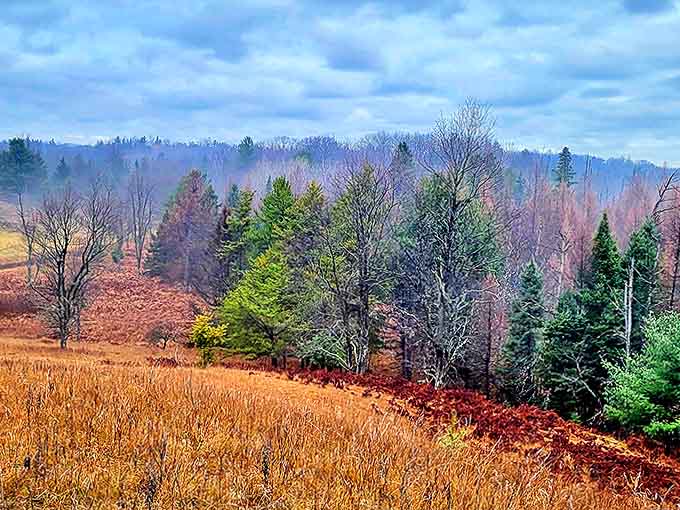 Rolling hills draped in autumn's patchwork quilt reveal why locals call this "God's Country," where each season paints the landscape anew.