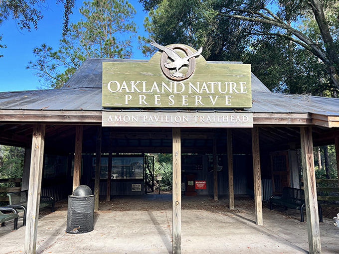 The Oakland Nature Preserve entrance sign stands as a humble gatekeeper to one of Central Florida's most underrated natural treasures.