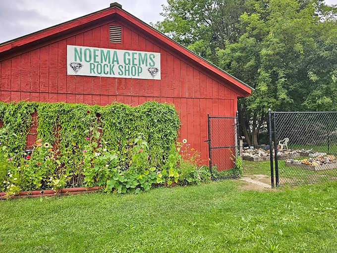 Noema Gems Rock Shop's vibrant exterior hints at the treasures within. This geological wonderland proves sometimes the most fascinating stories are written in stone.