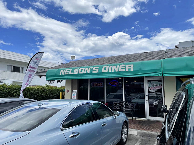 From the outside looking in, Nelson's promises what every great diner should &ndash; a temporary escape from the world and a guaranteed good meal.