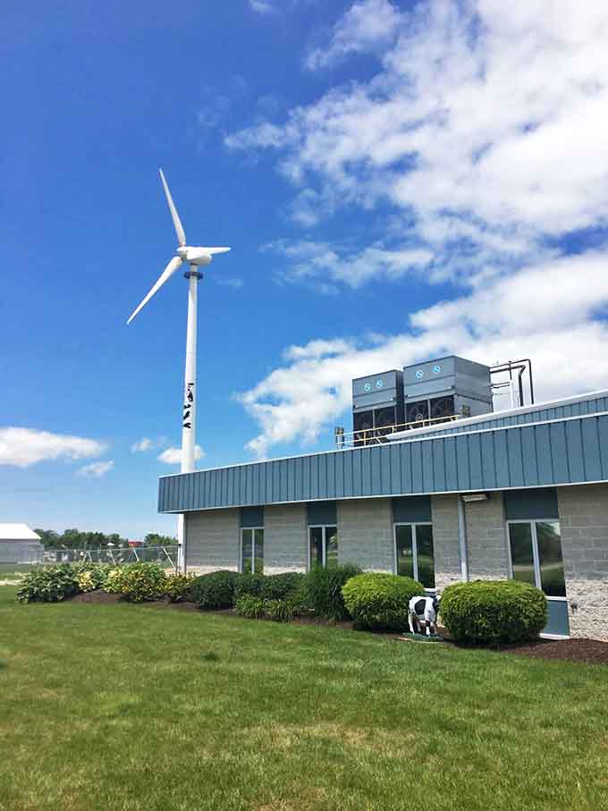 The windmill isn't just for show &ndash; it's part of Toft's commitment to sustainable energy, powering ice cream dreams while reducing their carbon footprint.