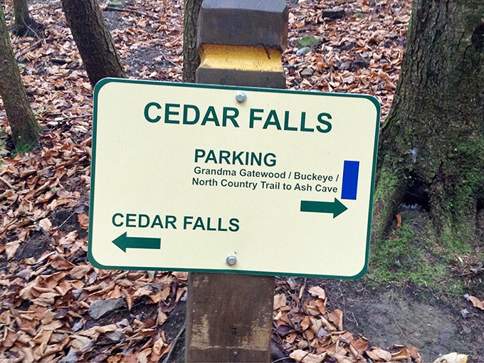 Decision time at the crossroads of adventure &ndash; will you choose Cedar Falls or venture toward mysterious Ash Cave?