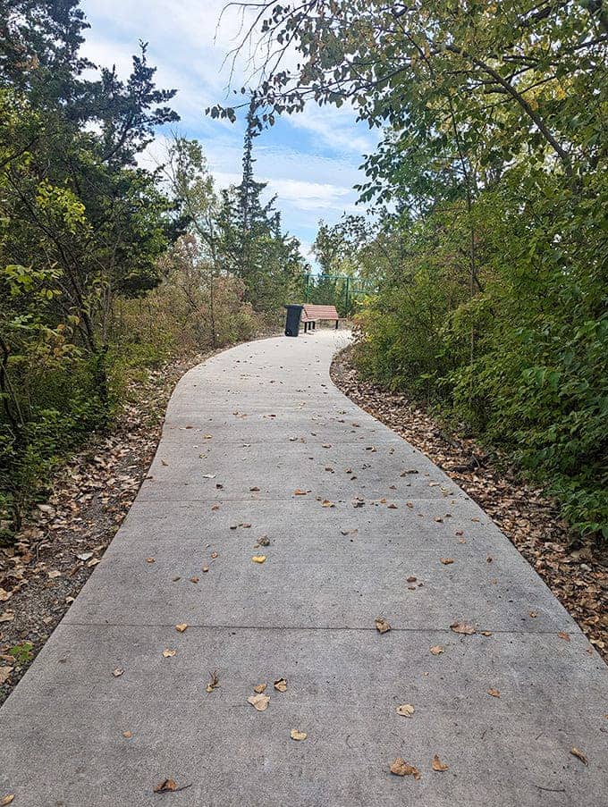 This serene trail connects Fossil Park to nearby attractions, offering a moment of contemplation between prehistoric discoveries.