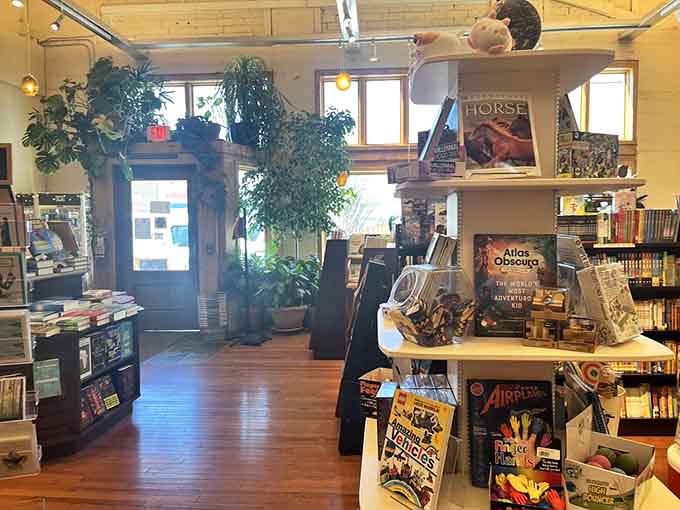 The view toward the exit that nobody actually wants to use because leaving means returning to a world with fewer books per square foot.