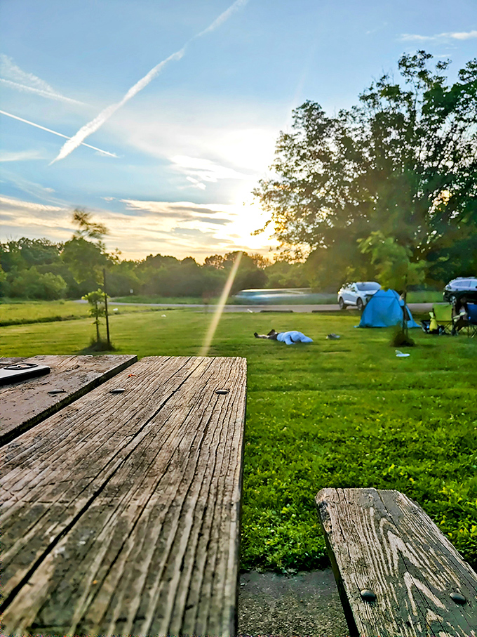 Sunset casts its golden glow across the camping meadow, where travelers gather to share stories of the day's adventures.