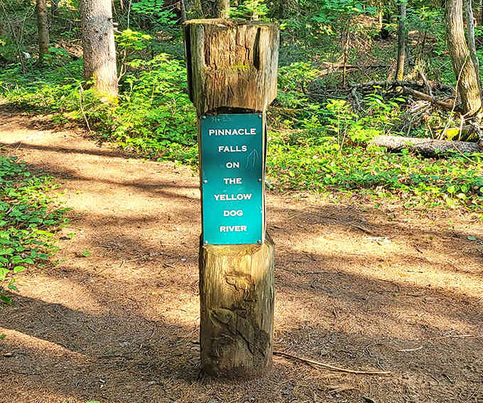 A simple wooden sign marks the way to wonder, proving that sometimes life's most magical destinations require minimal introduction.