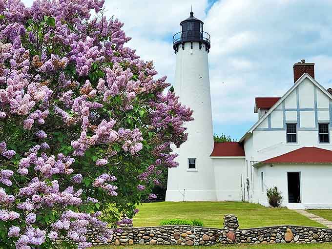 Point Iroquois Lighthouse blooms alongside spring lilacs, proving that even historic landmarks appreciate good landscaping.