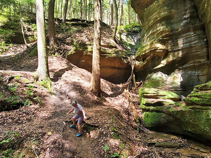 Nature's playground: Moss-covered rocks and exposed roots create a challenging but rewarding path for hikers seeking Ohio's hidden geological treasures.