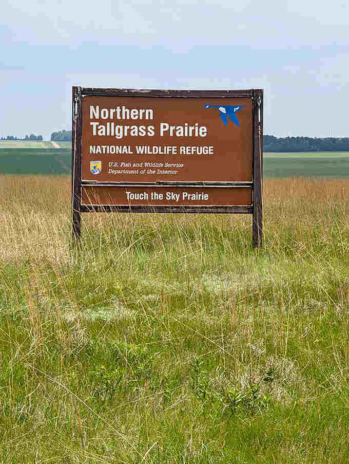 Welcome to wilderness: The official sign marks the entrance to Northern Tallgrass Prairie Wildlife Refuge, where natural wonders await just beyond.