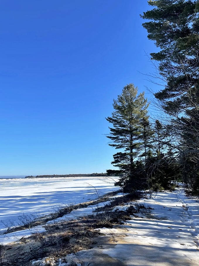 Winter transforms Lake Superior's shoreline into a breathtaking study in blue and white, where water meets ice meets sky.