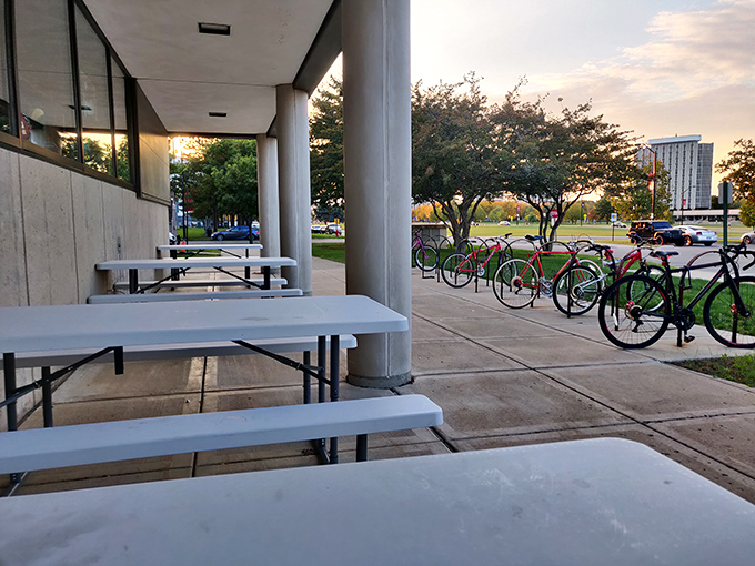 NIU's Sports & Recreation Center welcomes cyclists with practical charm, its outdoor seating areas creating impromptu communities of students between classes and adventures.